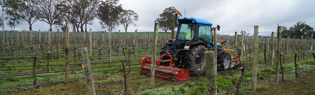 Vineyard Management & Services - Vitiworks